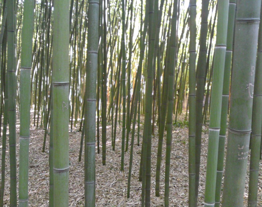 Equipe | ab ingénieurs sa